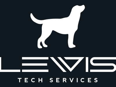 Lewis Tech Services - Website Package | Upwork