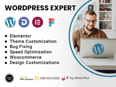 Web Developer Expert | WordPress Expert | Custom Theme Development | Upwork