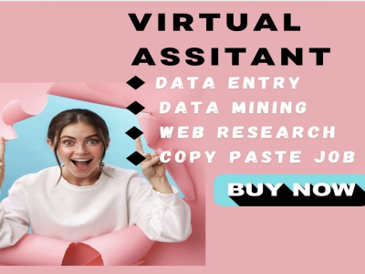 Virtual Assistant for Data Entry, Data Mining, Wed Research & copy Paste | Upwork