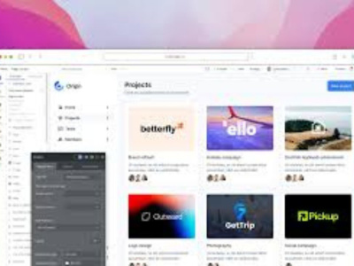 A develop tailored Bubble.io application. | Upwork