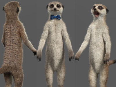 3D realistic animal model 3d animal animation video fur 3d character ...