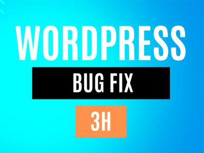 WordPress Bugs Fixed | Plugin Errors, Theme Bugs, and Performance Issues | Upwork