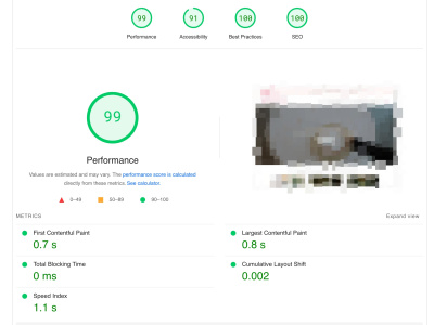 Wordpress speed optimization with 99% score in green zone (90+) guarantee | Upwork