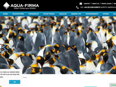 Custom Web Application Solution | Upwork