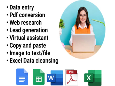 Accurate data entry, pdf conversion, web research, virtual assistant ...