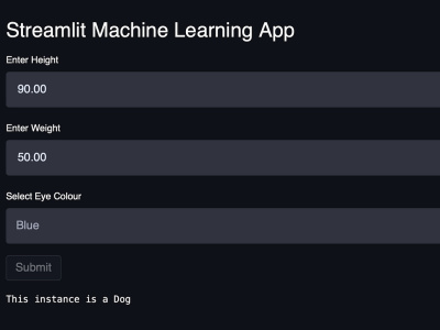 Custom Machine Learning Web Apps Flask, Streamlit, FastAPI | Upwork