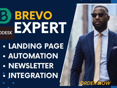 Brevo Newsletter, Brevo Email Automation & Campaign, Sendpulse | Upwork