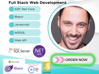 Asp.net core with Blazor/Entity Framework/MSSQL Application | Upwork