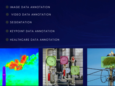 Data Annotation, Bounding Boxes, Polygons ,tagging and many more | Upwork