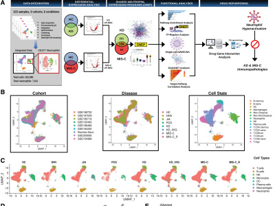 A Comprehensive Single-Cell Bioinformatics Analysis | Upwork