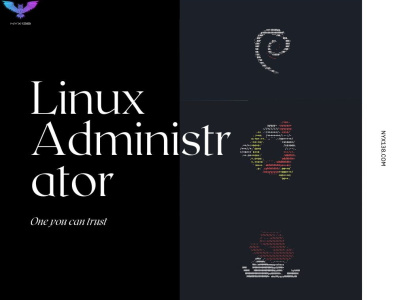 Linux server administrator and troubleshooting | Upwork