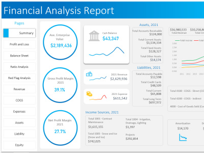 Financial Analysis & Dashboard from financial statements. | Upwork