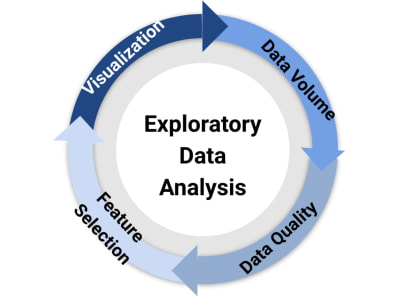 Insightful data analysis and visuals to drive impactful decisions | Upwork