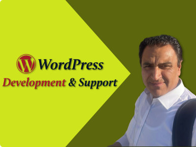 A fully customized WordPress CMS site with ongoing maintenance and support. | Upwork