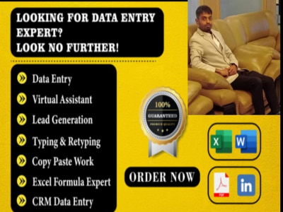 Data Entry Specialist | Microsoft Office Expert | Upwork