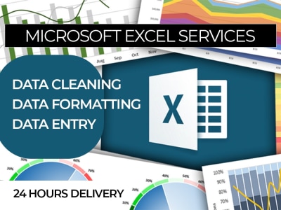 Excel Data Cleaning and Formatting Data in 24 Hours | Upwork