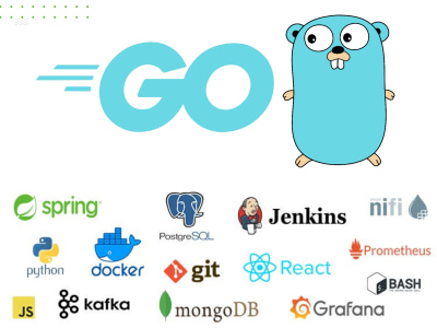 Golang Development Services | Build API | Go Developer | Upwork