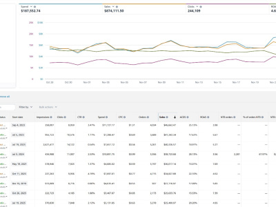 PPC or DSP Campaign Management | Upwork