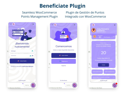A custom wordpress plugin | Upwork