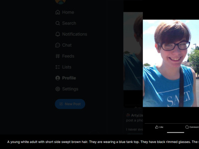 Alternative Text Descriptions from 2 sentences-1 paragraph | Upwork