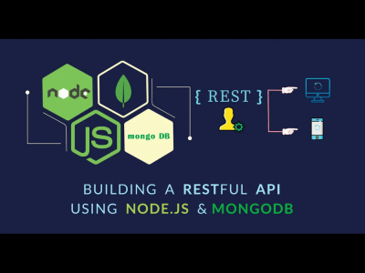 API Development | Integration | Service Solutions | Management | Upwork