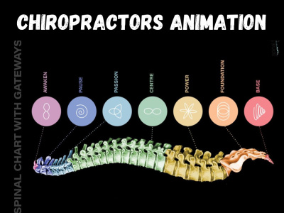 High-Quality 3D Chiropractic Animation, Modeling, and Spine Health ...