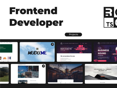 A professional website using react, next, remix | Front end developer ...