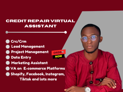 Be your personal executive VA, HR and social media virtual assistant ...