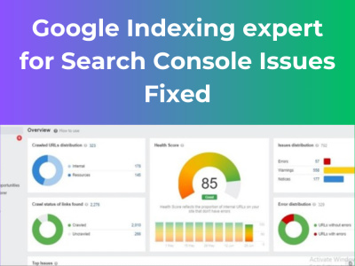 Google Indexing expert for Search Console Issues Fixed | Upwork