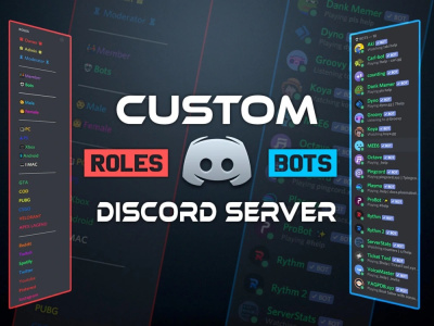 Custom Discord bot in Node.js || Python | Upwork
