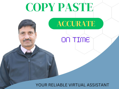 Data Copy Paste Service. | Upwork