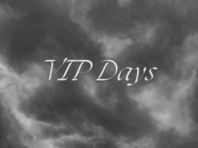 A VIP writing day: intensive, personalized writing or editing session ...