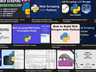 Top quality web scraping projects | Upwork