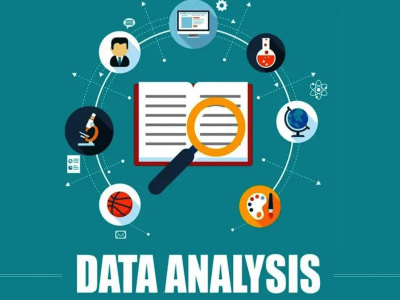 Data Analyst & Data Analysis | Upwork