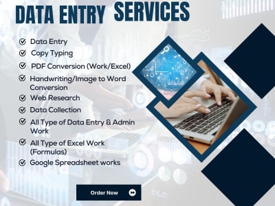 Professional Data Entry Specialist for all types of Data Entry / Admin ...