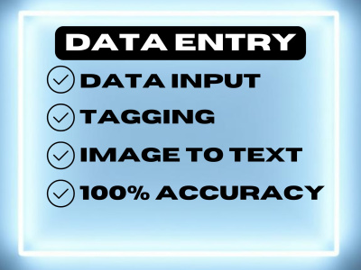 Data Entry Services, Document Conversion, Web Research, Data Enrichment | Upwork