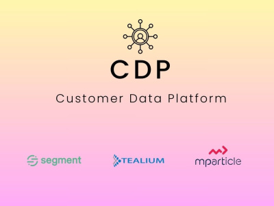 CDP Integration & Strategy – Segment, Tealium, mParticle, & More | Upwork
