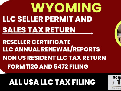 Filing of tax return for wyoming LLC | Upwork