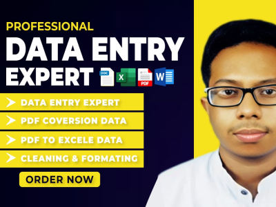 Data entry, copy paste, web research, typing, and excel data entry | Upwork