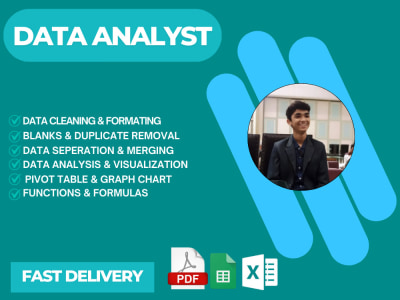 Cleaning data with Formatting, Merging and Visualization in excel data | Upwork