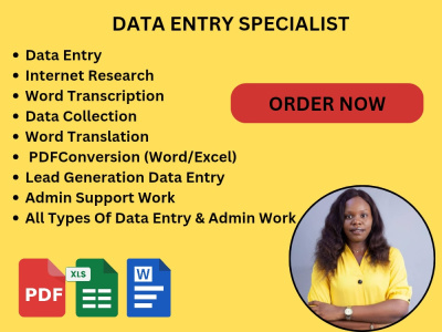 Professional Data Entry Specialist for all types of Data Entry / Admin ...