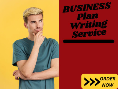 Complete Business Plan Writing Service from Best Financial Writer | Upwork
