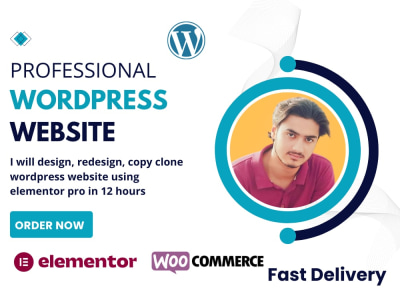 Design, redesign, copy clone wordpress website using elementor pro | Upwork