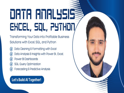 Clean, analyzed, and visualized data using Excel, Python, SQL, Power BI | Upwork
