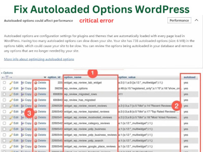 Fix and optimize autoloaded options in WordPress | Upwork