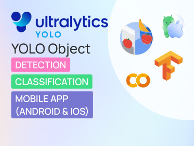 Object detection, classification and segmentation app built with yolo | Upwork