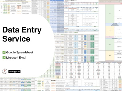A detailed and colorful data entry | Upwork