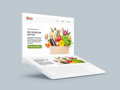 High converting website design or landing page design that wows | Upwork