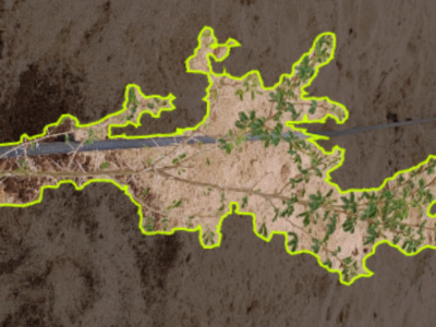 Expert Data Annotation Services for AI & Computer Vision Projects | Upwork