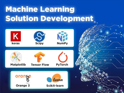 Machine Learning & Deep Learning Solutions | AI-Powered Insights | Upwork